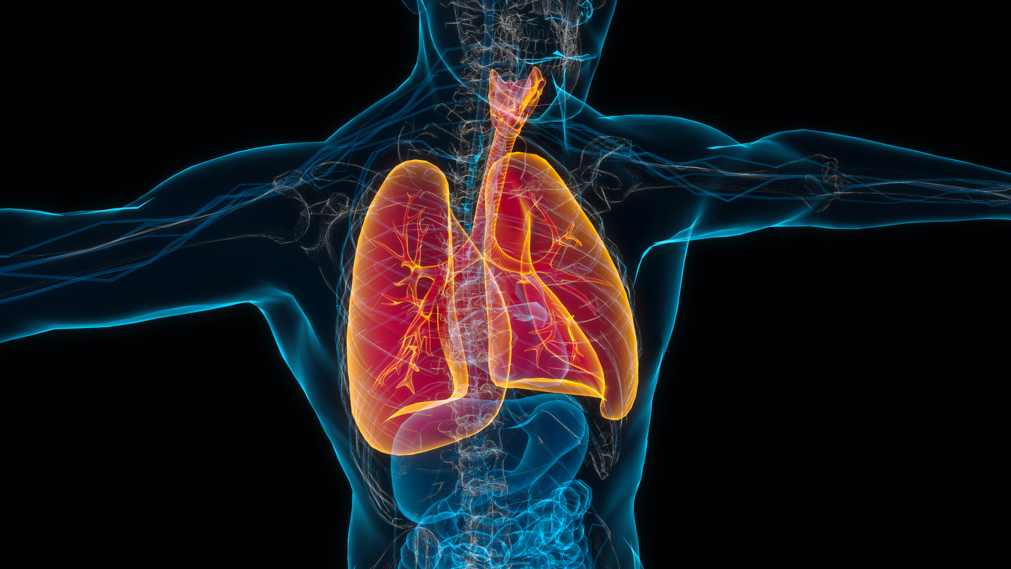 CRO | preclinical services | Drug efficacy | Biotrial