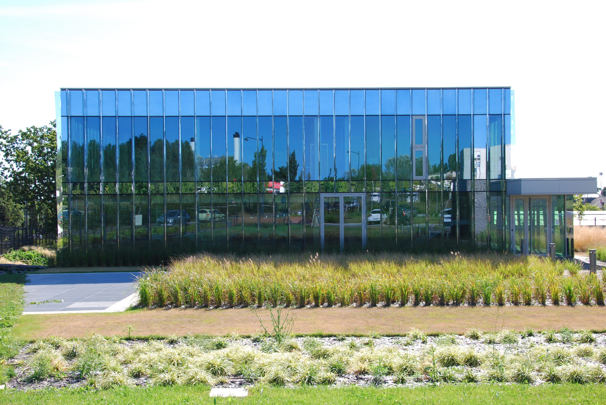 What is a CRO (Contract Research Organization)? | Biotrial